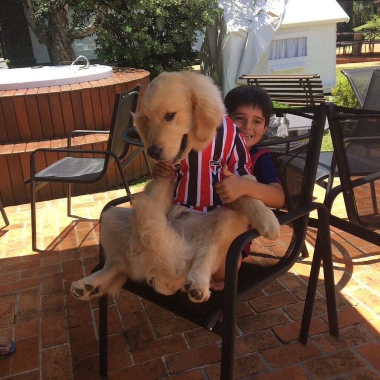 8 Famous F1 Drivers and Their Dogs - Sebastian Vettel - Lewis Hamilton