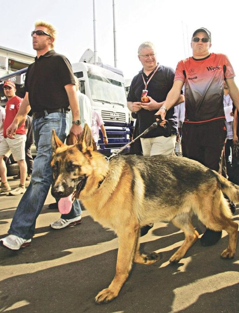 8 Famous F1 Drivers and Their Dogs - Sebastian Vettel - Lewis Hamilton