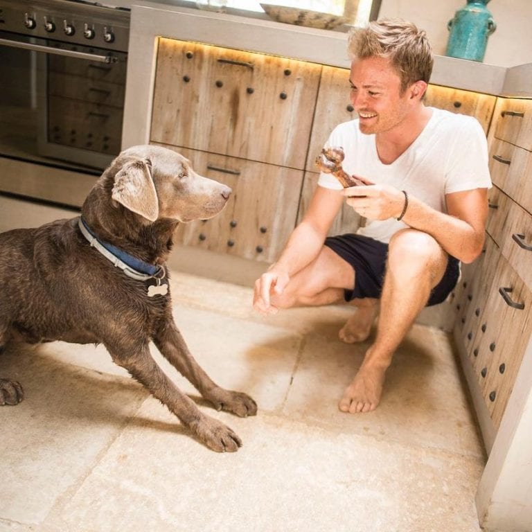 8 Famous F1 Drivers and Their Dogs - Sebastian Vettel - Lewis Hamilton