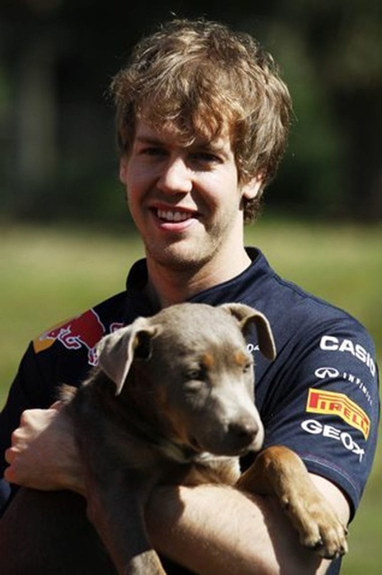 8 Famous F1 Drivers and Their Dogs - Sebastian Vettel - Lewis Hamilton