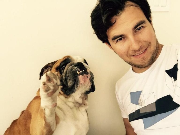 8 Famous F1 Drivers and Their Dogs - Sebastian Vettel - Lewis Hamilton