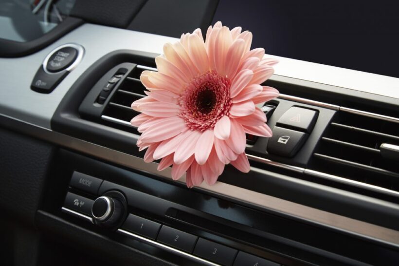 How to Maintain the Fresh Smell of Your Car - F1 Formula 1 Magazine